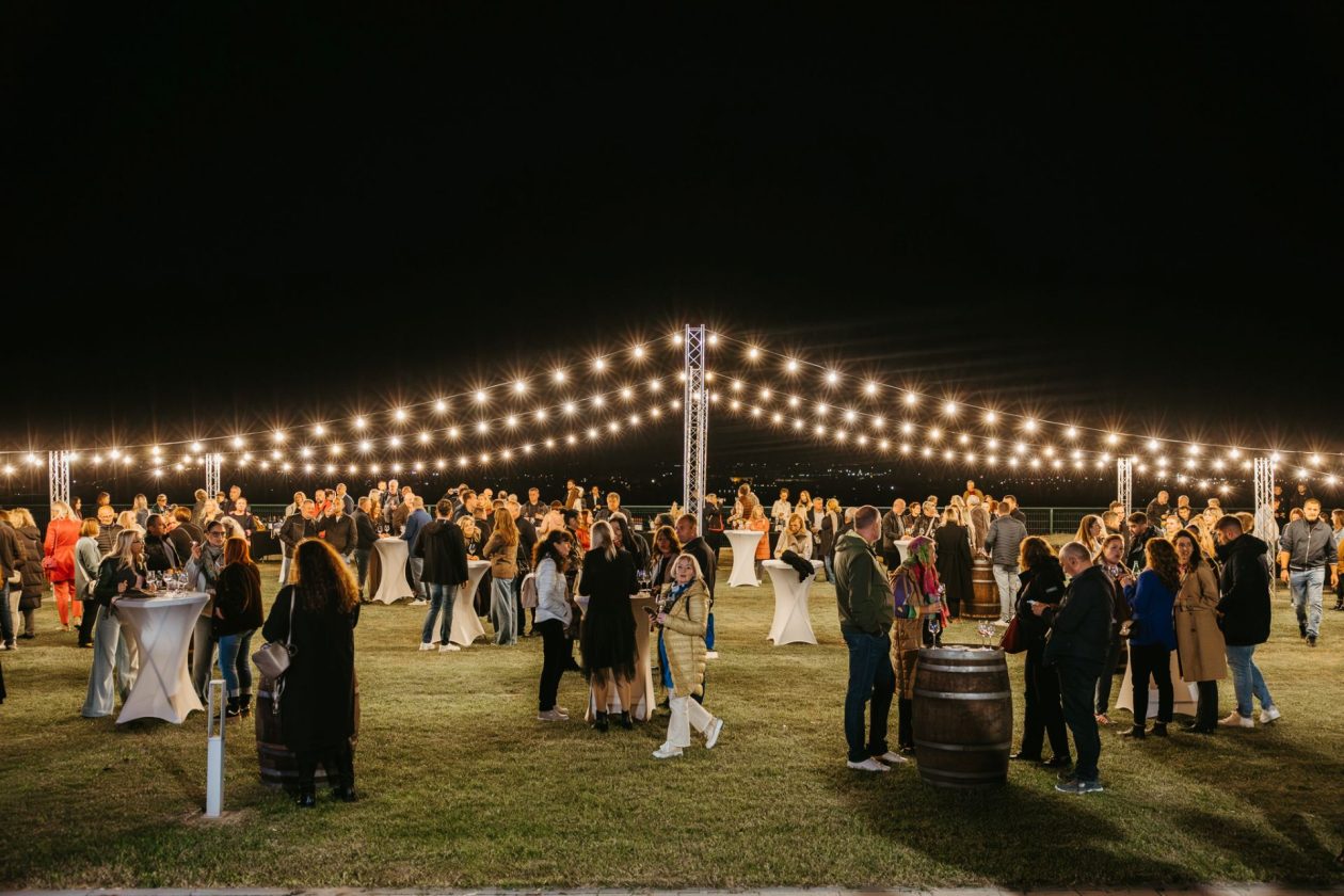 Iločka večer za pamćenje: Dunav Wine Festival pomaknuo granice vinskih ...