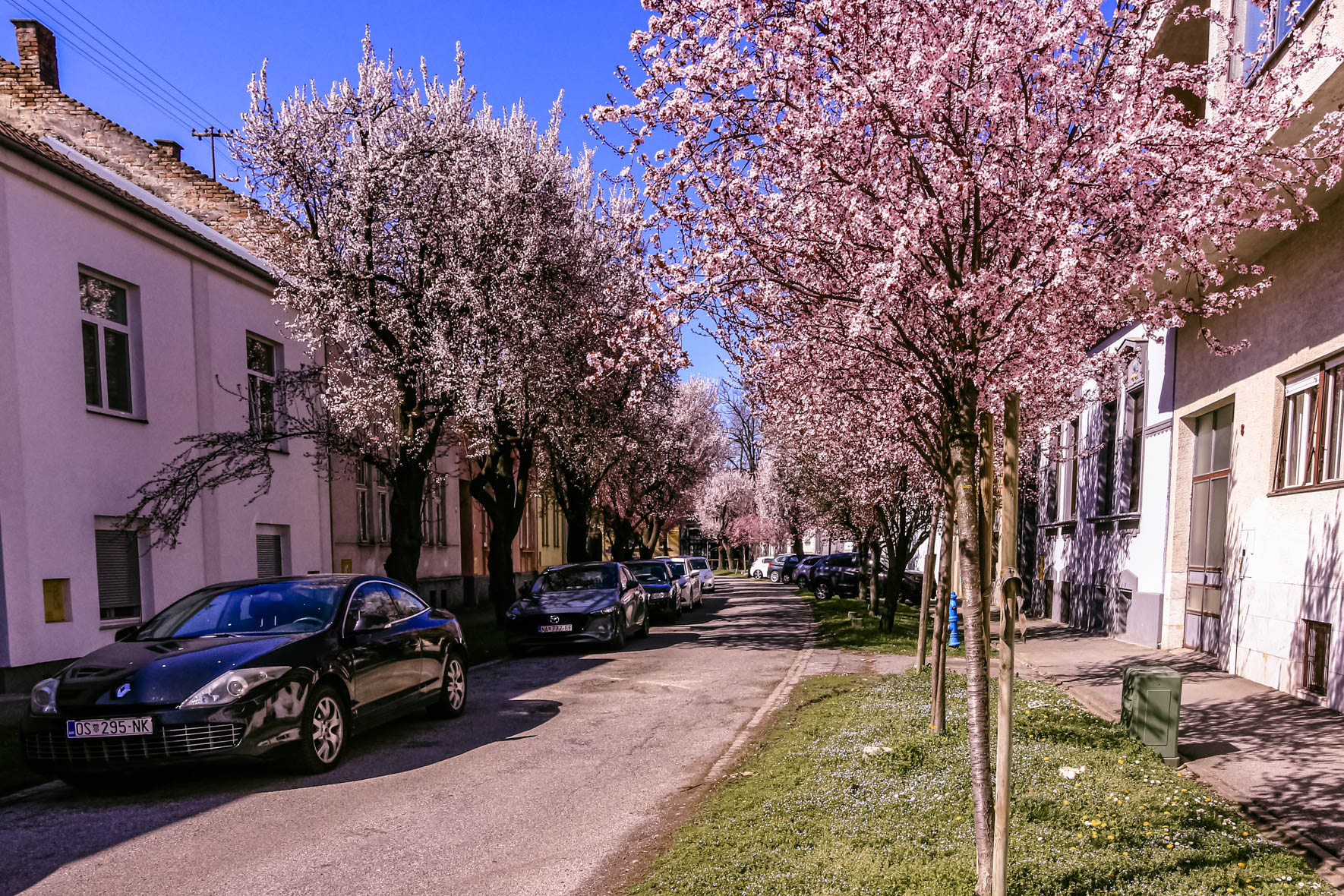 Fotogalerije - SiB.hr